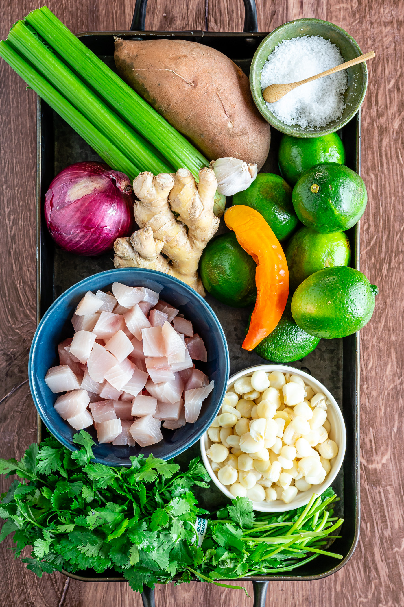 Peruvian Ceviche with Tiger's Milk - The Latin Pantry